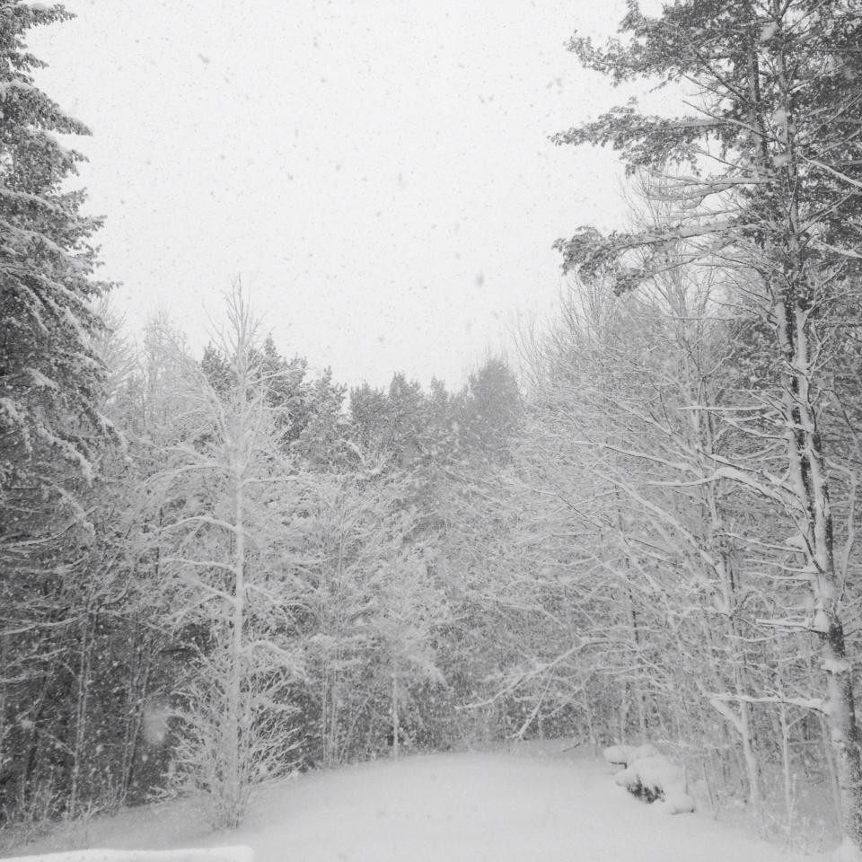 Bracebridge - Members Gallery - Ontario Conditions